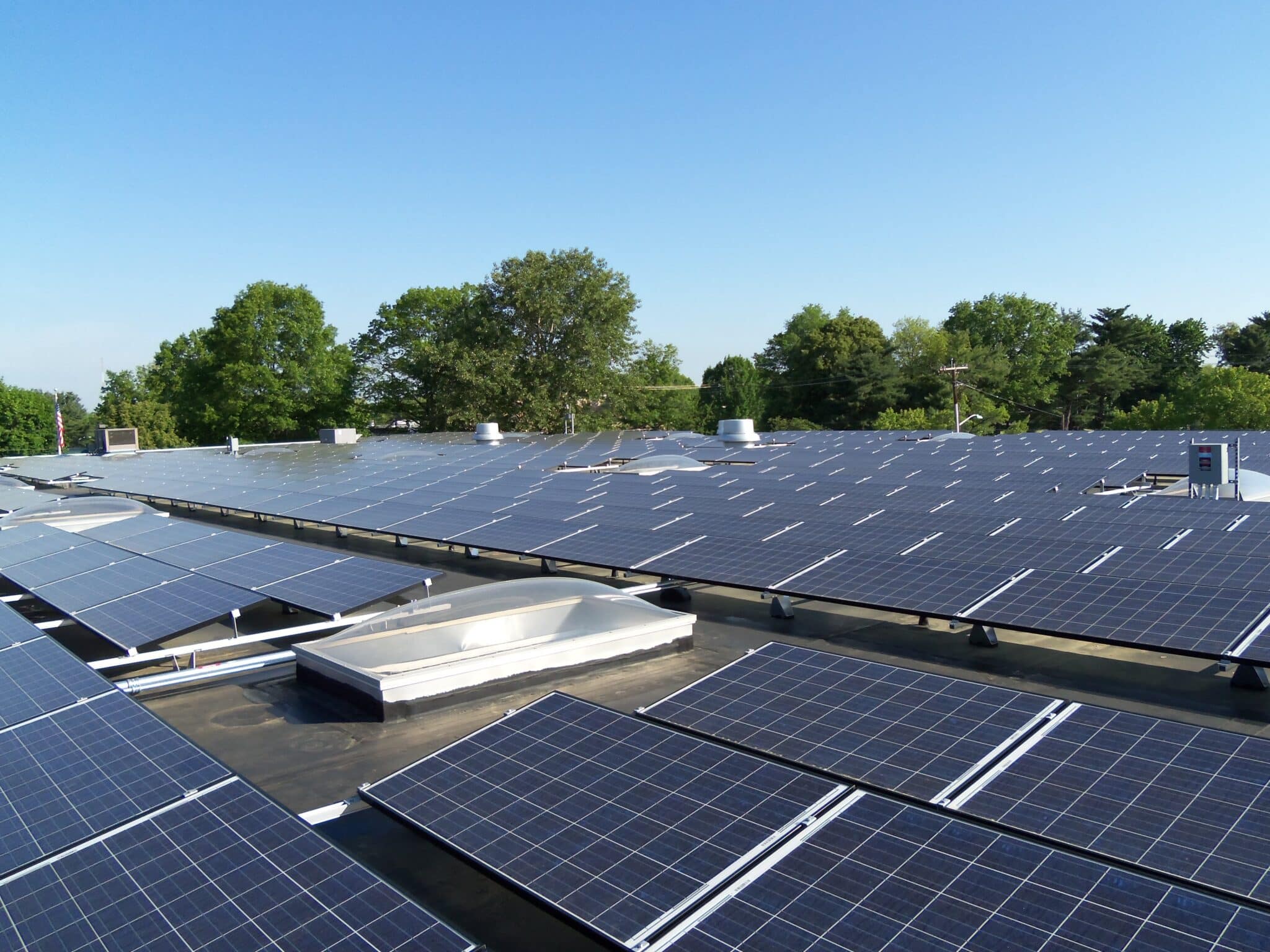 Sustainability - Harris Tea Company